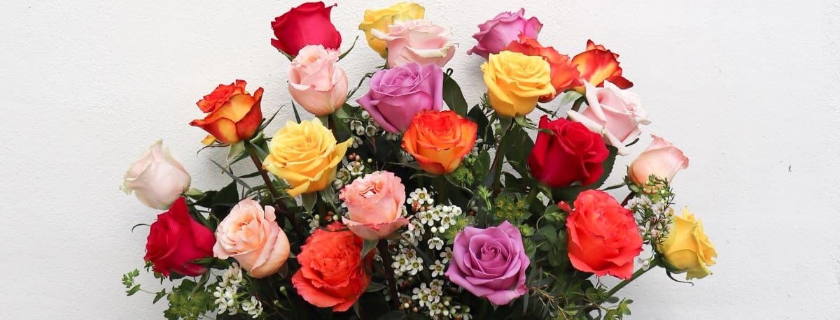 Decoding Rose Colors: The Secret Language of Roses - Four Seasons ...
