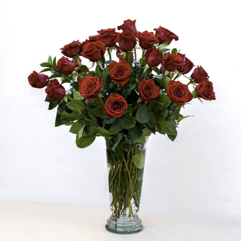 3 Dozen Amazing Long Stem Roses - Four Seasons Flowers - Flower ...