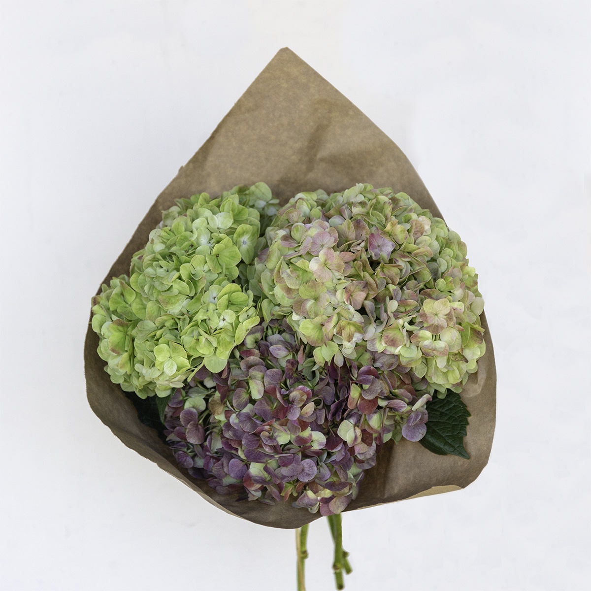 Weekend Wrap Special - Four Seasons Flowers - Flower Delivery in San Diego