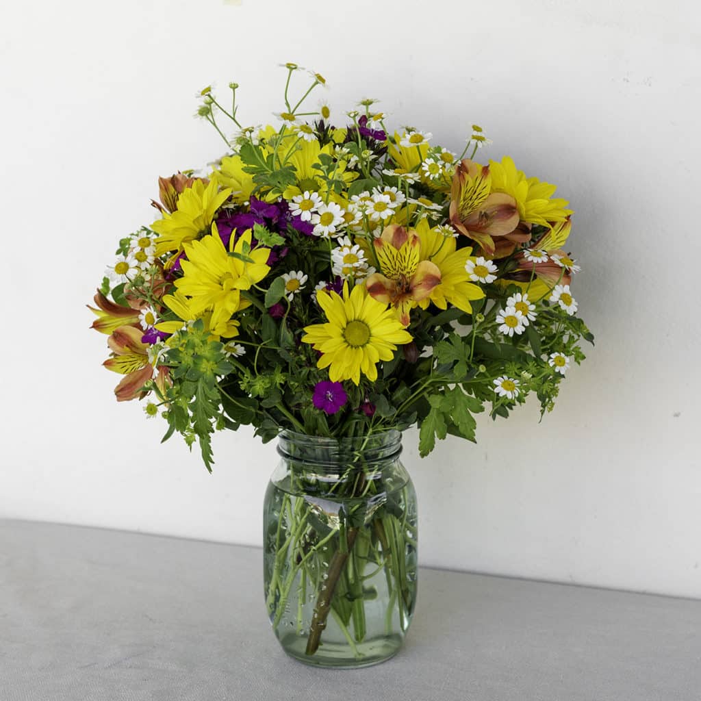 Daisy Meadow - Four Seasons Flowers - Flower Delivery in San Diego