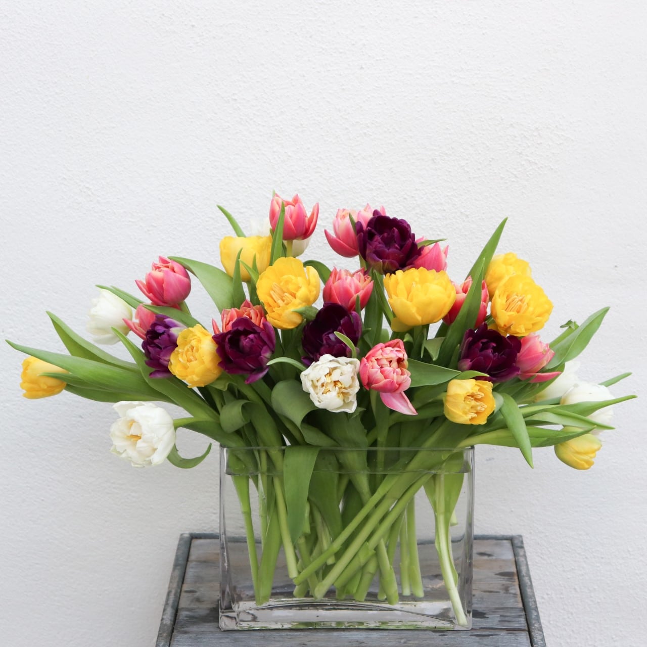 30 Mixed Color Tulips | Four Seasons Flowers - Flower Delivery in San Diego