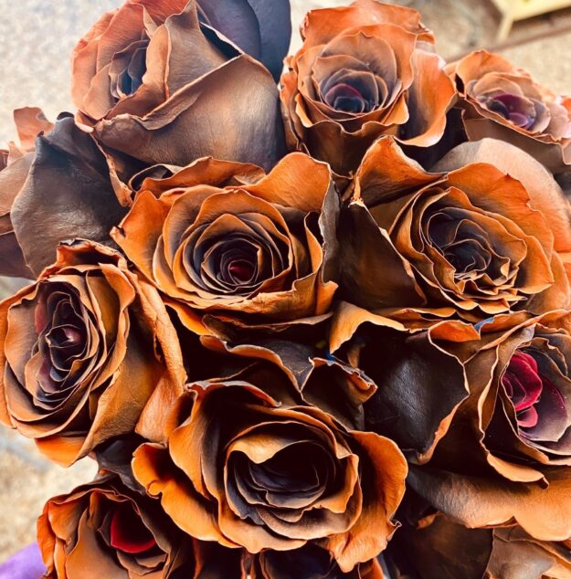 Halloween Roses - Four Seasons Flowers - Flower Delivery in San Diego