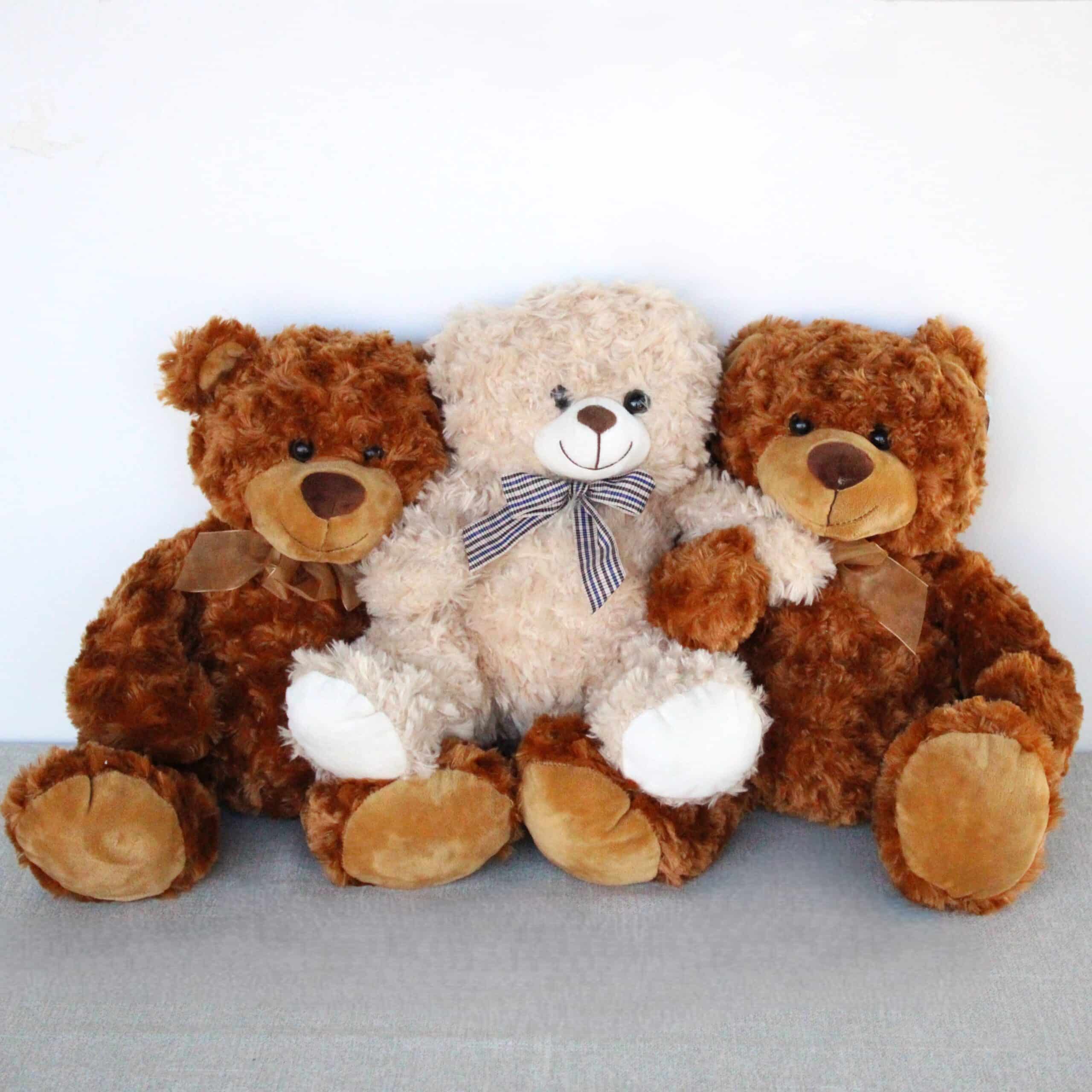 Teddy Bear Hugs - Four Seasons Flowers - Flower Delivery in San Diego