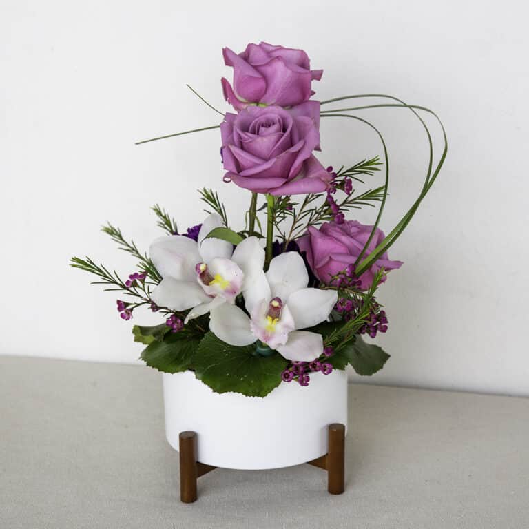 Plum Flower Arrangement | Send Potted Flowers in San Diego
