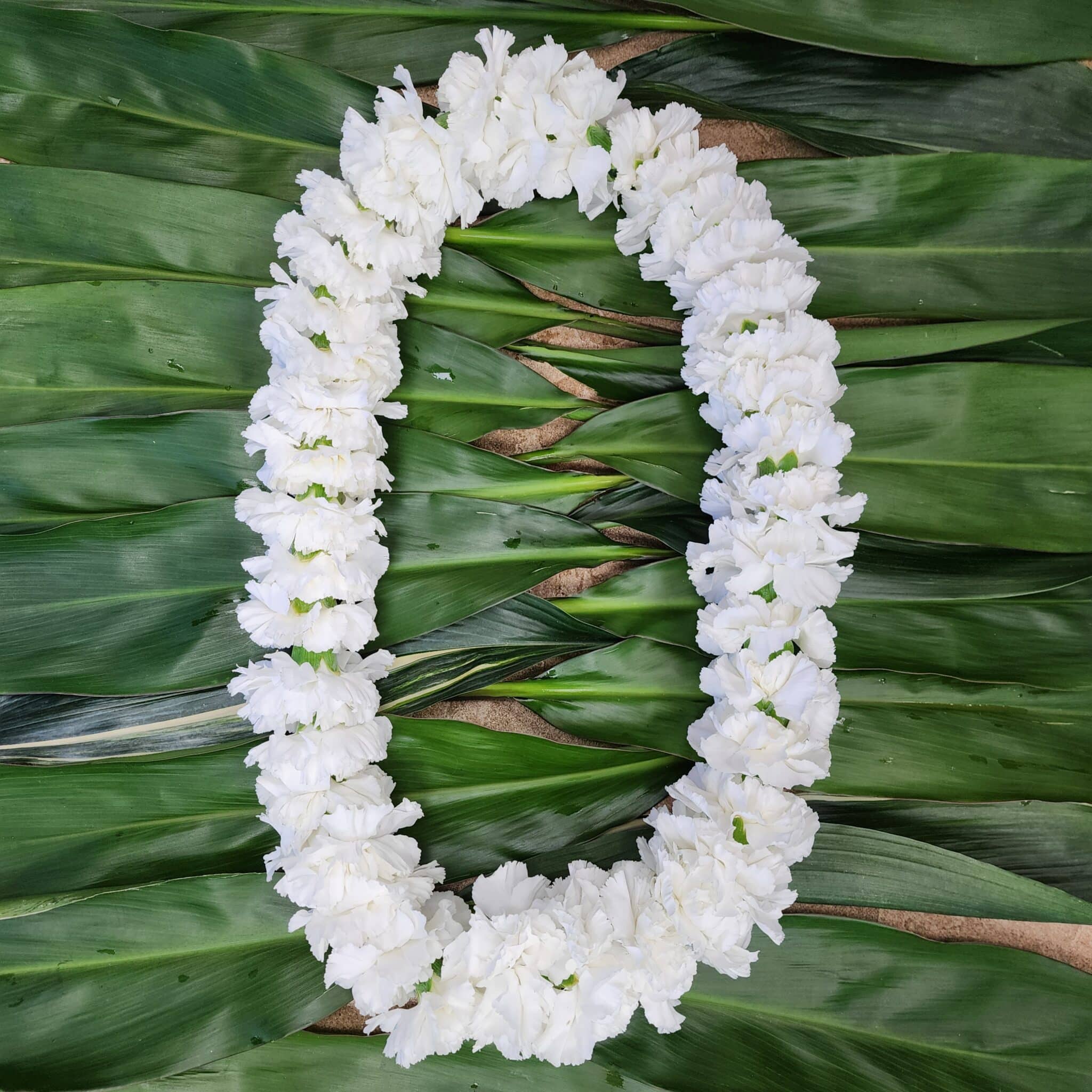 White Carnation Lei - Four Seasons Flowers - Flower Delivery in San Diego